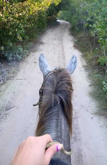 Holbox: Private Horseback Riding - Overall Value and Suitability