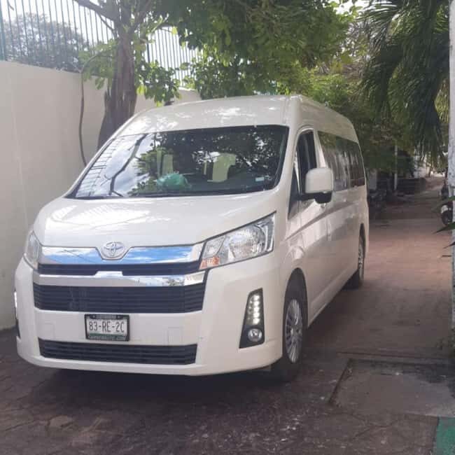 HolBox: Private Tour with Transfers - An In-Depth Look at the Holbox Private Tour Experience