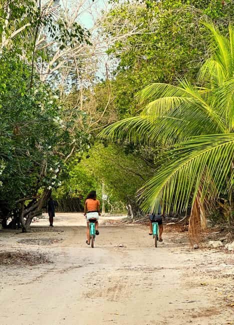 Holbox Self-Guided Tour: Map, Bike, SUP, Coffee & Snack incl - Authentic Experiences and Traveler Feedback