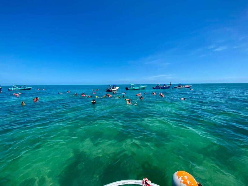 Holbox: Snorkeling, Fishing, and Ceviche Tour - Key Points