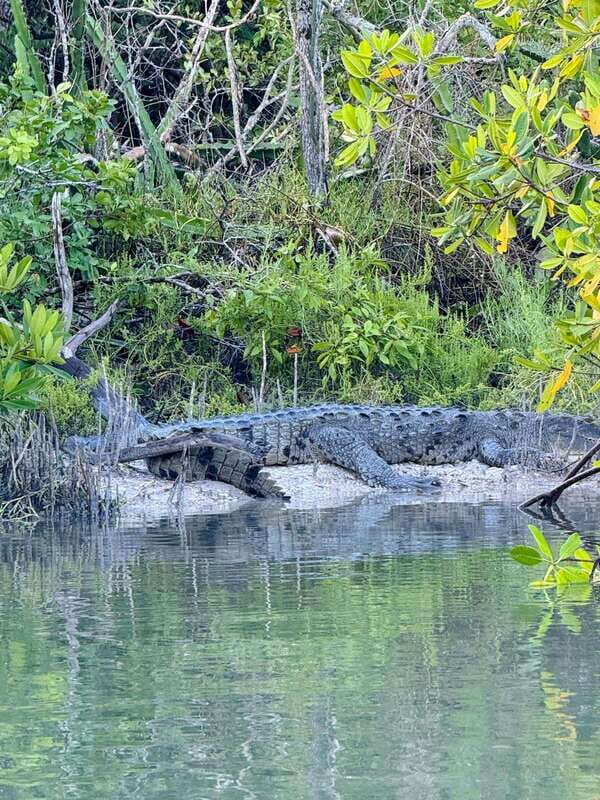 Holbox: Sunrise & Mangrove Kayak Tour - Final Thoughts