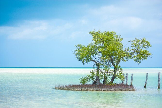 Holbox tour from Cancun and Riviera Maya - Conclusions: Who Should Consider This Tour?