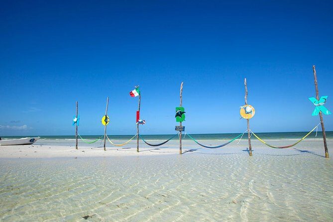 Holbox Tour - Island & Cenote from Cancun and Playa del Carmen - Authentic Experiences and Guides