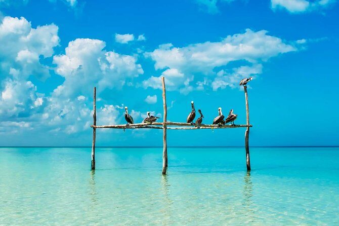 Holbox Tour - Island & Cenote from Cancun and Playa del Carmen - Final Thoughts