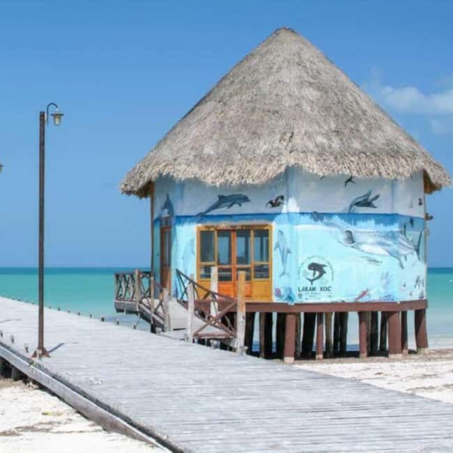 Holbox: Tour of Holbox Island, Isla Pasión, and Punta Mosquito. - What to Expect from the Tour