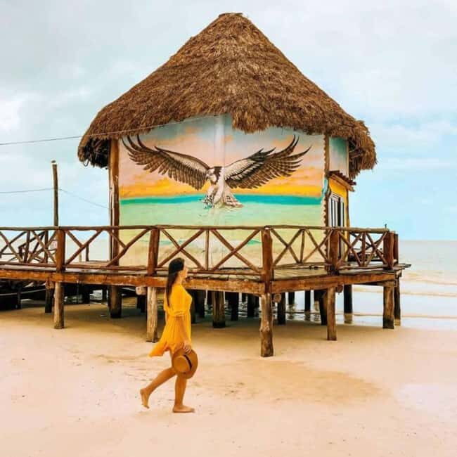 Holbox: Tour of Holbox Island, Isla Pasión, and Punta Mosquito. - Authenticity and Travel Experience