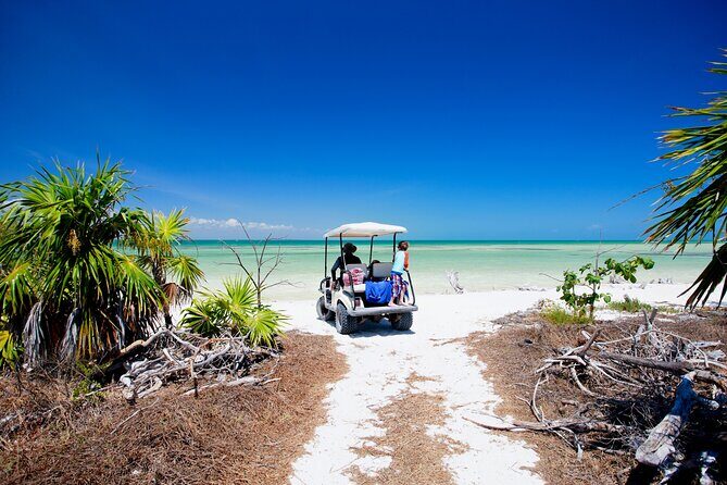 Holbox Tour with Ferry transportation and lunch included - Arrival at Holbox: Exploring Punta Mosquito