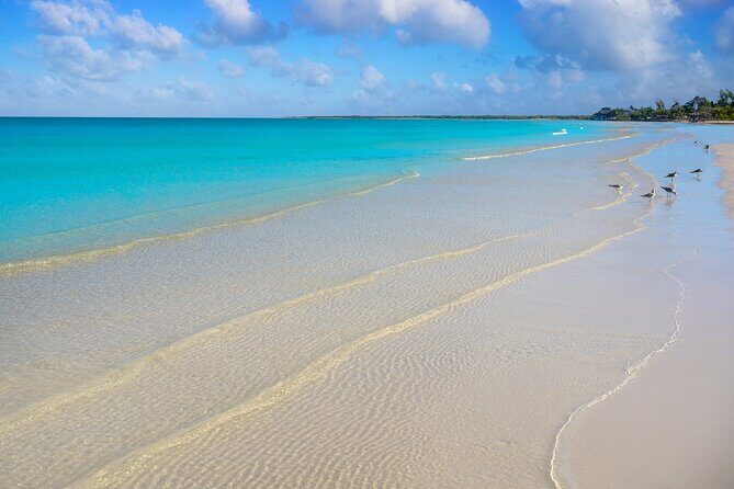 Holbox Tour with Ferry transportation and lunch included - Lunch: Tasting Local Flavors