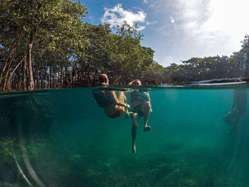 Holbox: Yalahau, Passion Island and Punta Mosquito Boat Tour - An In-Depth Look at the Tour Experience