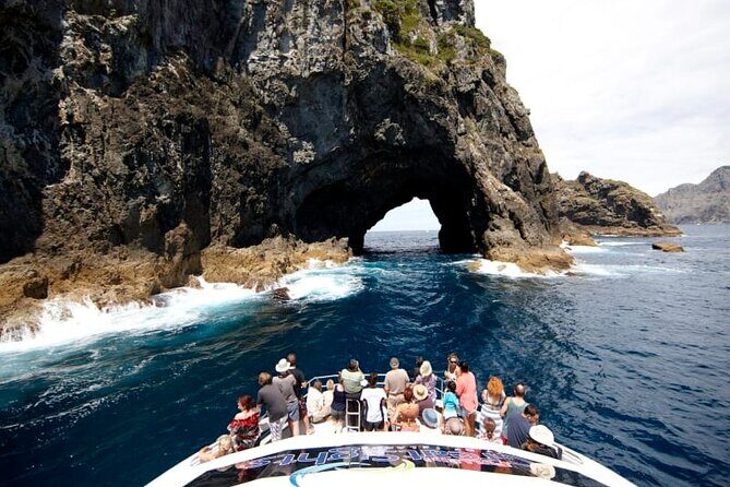 Hole in the Rock Dolphin Cruise Tour Round Trip from Auckland - The Sum Up