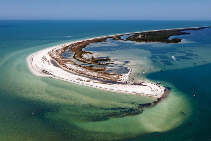 Holiday, FL: Anclote Key Preserve Private Boat Tour - An Introduction to the Anclote Key Preserve Private Boat Tour
