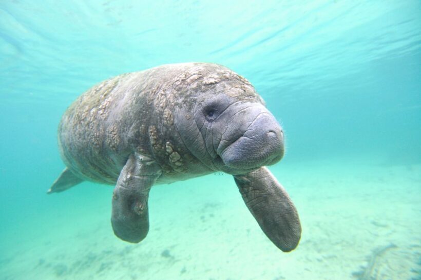 Holiday, FL: Anclote Key Preserve Private Boat Tour - Why This Tour Is Worth Considering