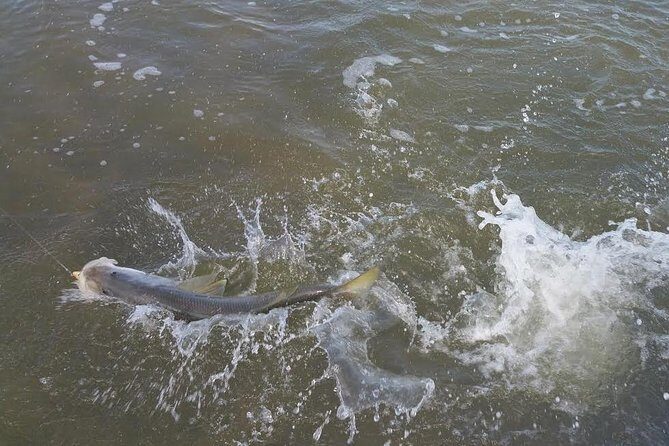 Holiday Inshore Fishing Charters - Practical Considerations and Tips