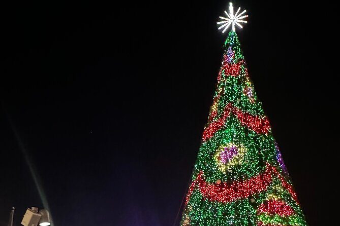 Holiday Lights Private Night Bus Tour of Washington DC - FAQ