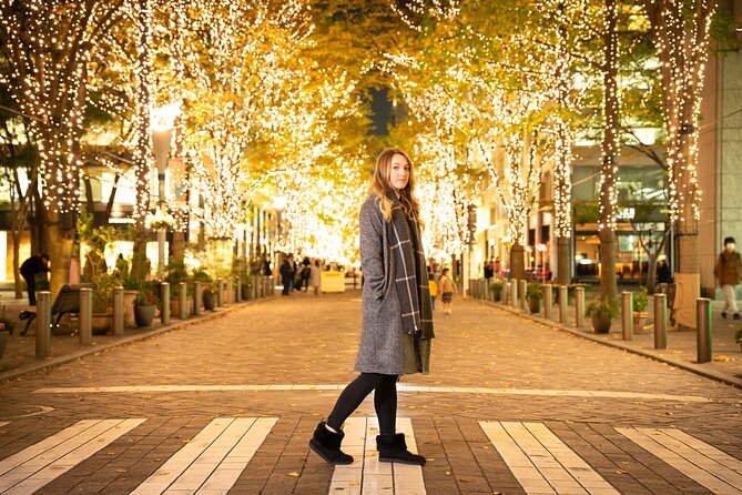 Holiday Lights Walk Tour Hibiya Midtown Tokyo Station Marunouchi - Meeting and Pickup