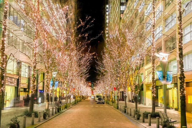 Holiday Lights Walk Tour Hibiya Midtown Tokyo Station Marunouchi - Booking Information