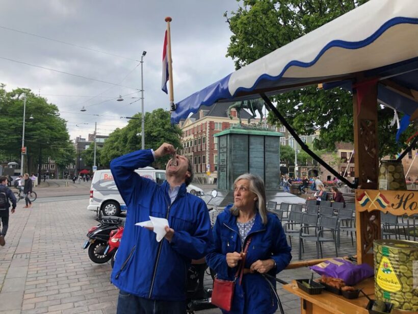 Holland Four City Charm Tour - FAQs