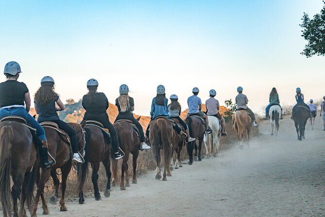 Hollywood Sign Adventure Hike and Tour By Junket - Who Will Enjoy This Tour?