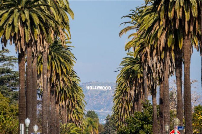 Hollywood Walk OF Fame Experience and Sightseeing - A Walk through Hollywood: What to Expect