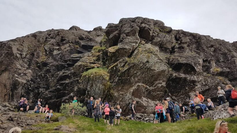 Hólmanes: Guided Nature Walk - Exploring Hólmanes: A Guided Nature Walk in Iceland’s Northeastern Wilderness