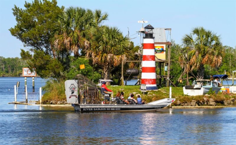 Homosassa: Gulf of Mexico Airboat Ride and Dolphin Watching - Key Points