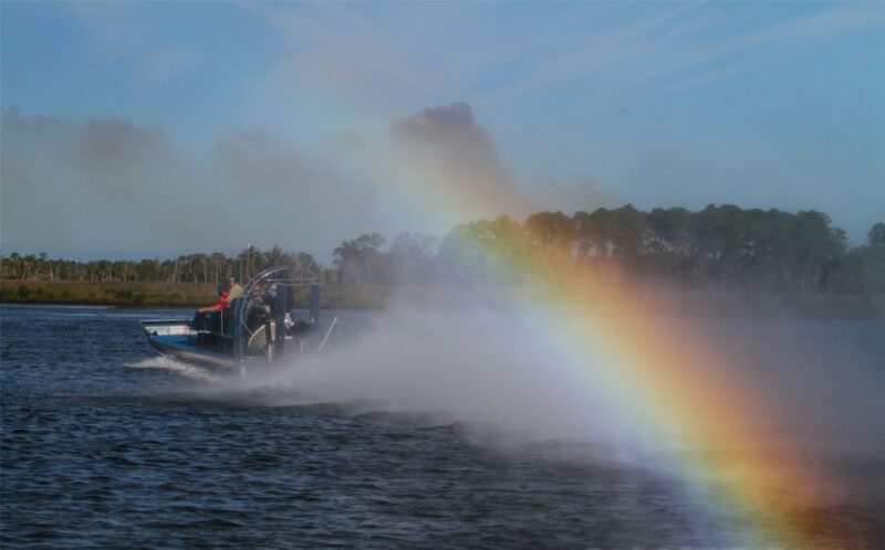 Homosassa: Gulf of Mexico Airboat Ride and Dolphin Watching - Practical Tips for Booking and Participation