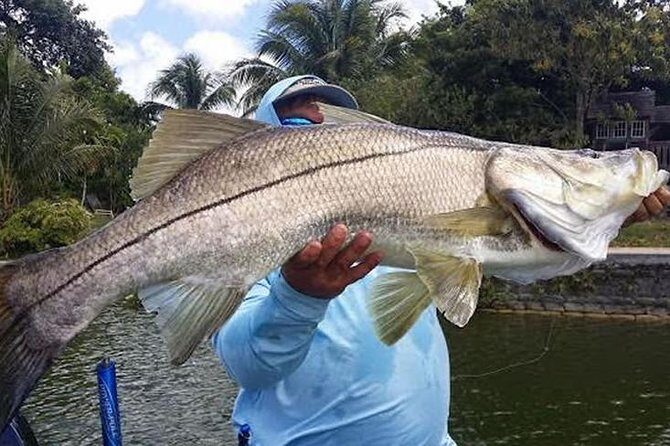 Homosassa Inshore Fishing Charters - Authentic Experiences and What Travelers Might Expect