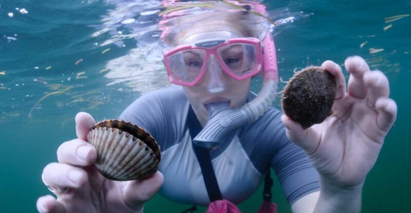 Homosassa: Snorkel & Scallop Hunt in Gulf of Mexico - Exploring the Homosassa Snorkel & Scallop Hunt Experience