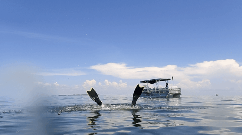 Homosassa: Snorkel & Scallop Hunt in Gulf of Mexico - Detailed Breakdown of the Itinerary