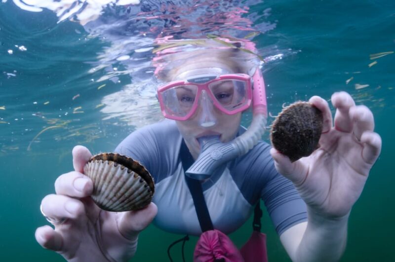 Homosassa: Snorkel & Scallop Hunt in Gulf of Mexico - Who Should Consider This Tour?