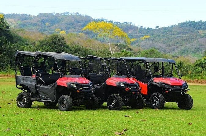 Honda Mastering the Aquatic Cave and Macao - Who Should Consider This Adventure?