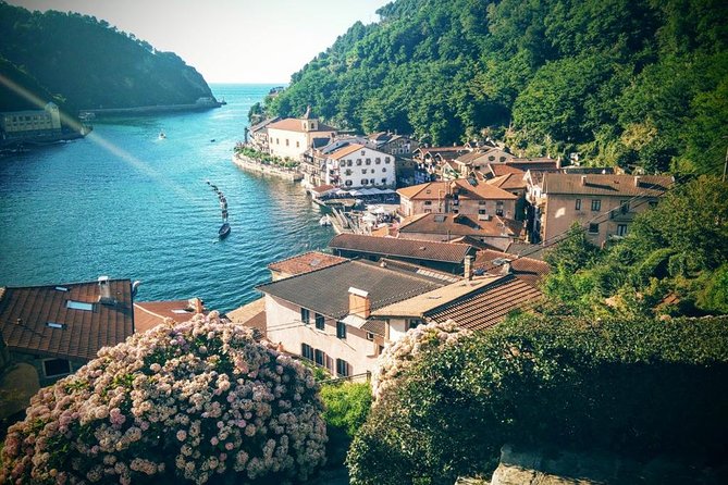 Hondarribia, S.Juan & S.Pedro Small Group Tour From San Sebastian - Accessibility and Tour Requirements