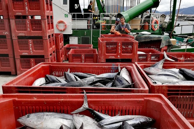 HONDARRIBIA SIGHTSEEING and PINTXOS - Private Gastronomic Adventure - Frequently Asked Questions