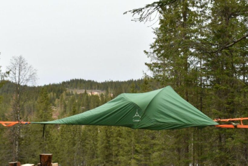 Hønefoss: 2-Day Moose Safari in Oslo's Wilderness - Exploring the 2-Day Moose Safari in Oslo’s Wilderness