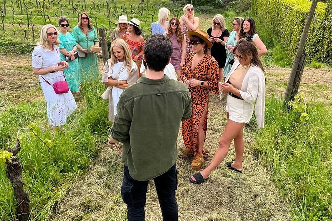 Honest Wines- Wine Tasting at Cantina Biagiotti - Accessibility and Location