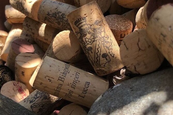 Honest Wines- Wine Tasting at Cantina Biagiotti - Host and Highlights