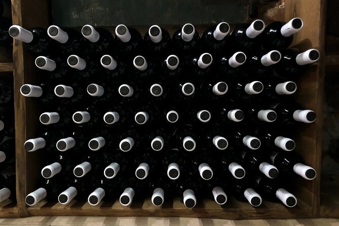 Honest Wines- Wine Tasting at Cantina Biagiotti - Purchasing Wines During the Visit