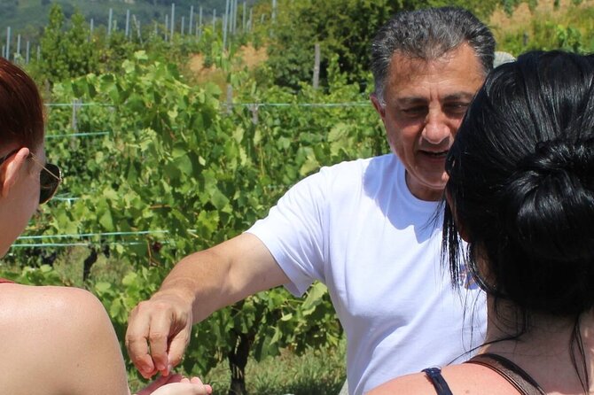 Honest Wines- Wine Tasting at Cantina Biagiotti - Getting There and Transportation Options