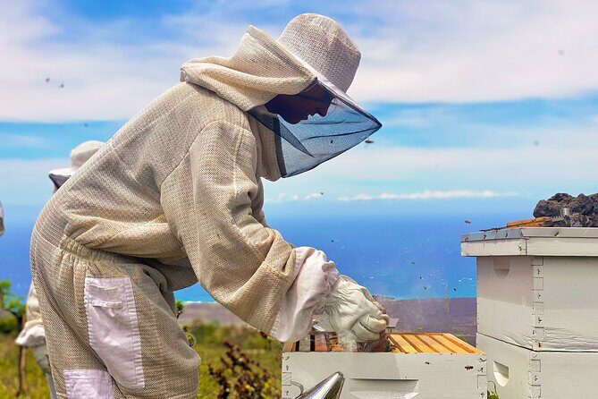 Honey Bee Adventure at the Maui Honey Bee Sanctuary - What to Expect from the Maui Honey Bee Sanctuary Tour