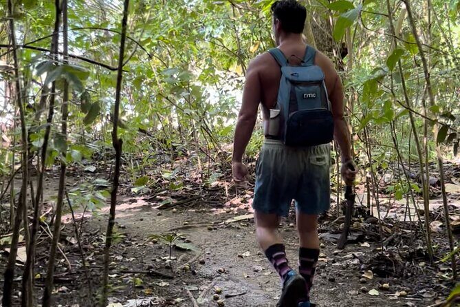 Honeymoon Beach Eco Hike and Snorkel - An In-Depth Look at the Honeymoon Beach Eco Hike and Snorkel Tour