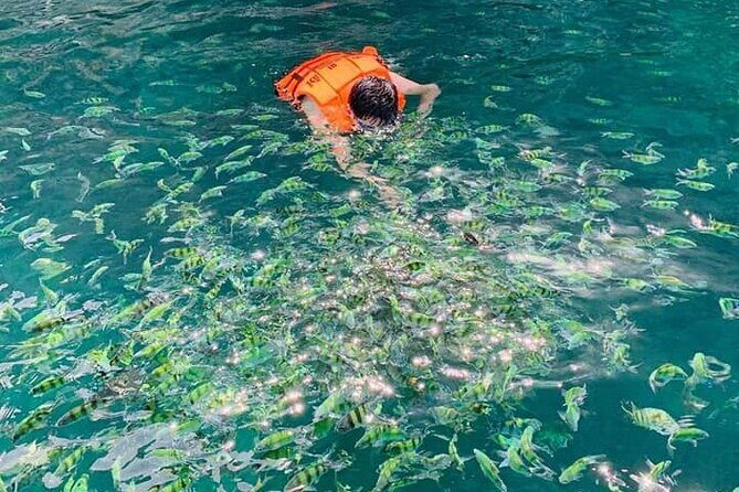 Hong island snorkeling tour from Koh Yao Noi & Koh Yao Yai - Who Should Book This Tour?