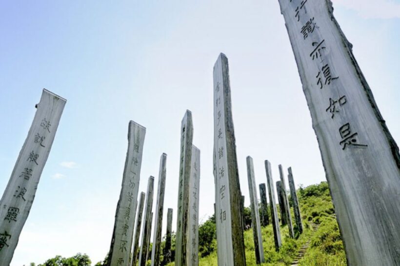 Hong Kong: Big Buddha Tour & Skip-the-Line NP360 Cable Car - Who Should Consider This Tour