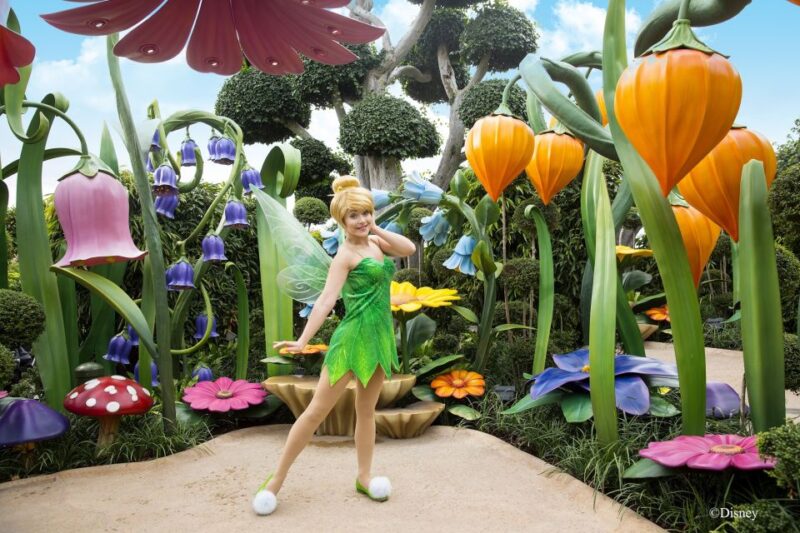 Hong Kong Disneyland Park Tickets - Final Thoughts