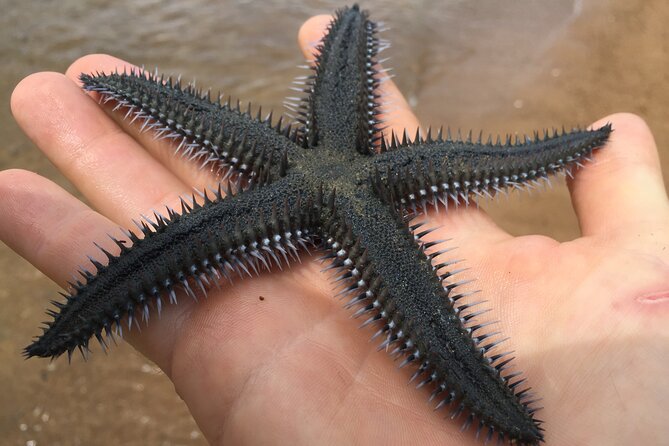 Hong Kong Geopark Kayaking Adventure - The Sum Up