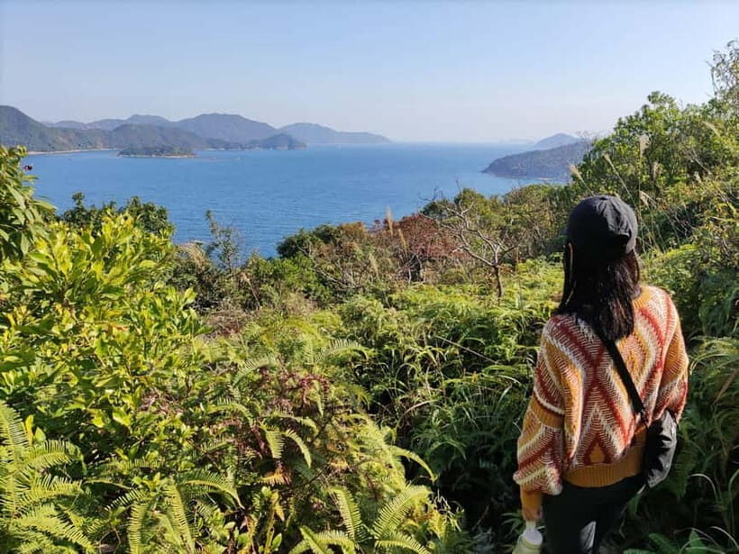 Hong Kong | Hiking and Hidden Gems Tour with Private Driver - Key Points