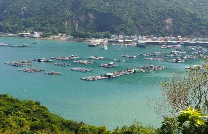 Hong Kong: Lamma Island Walking Tour with Lunch - Practical Details and Tips