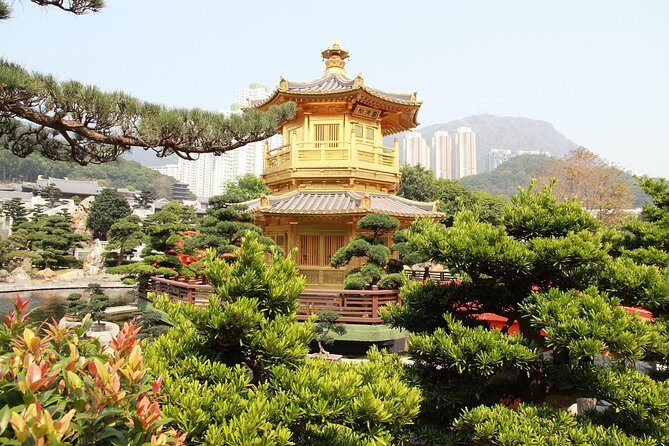 Hong Kong Layover Tour with a Local: 100% Personalized & Private - FAQs