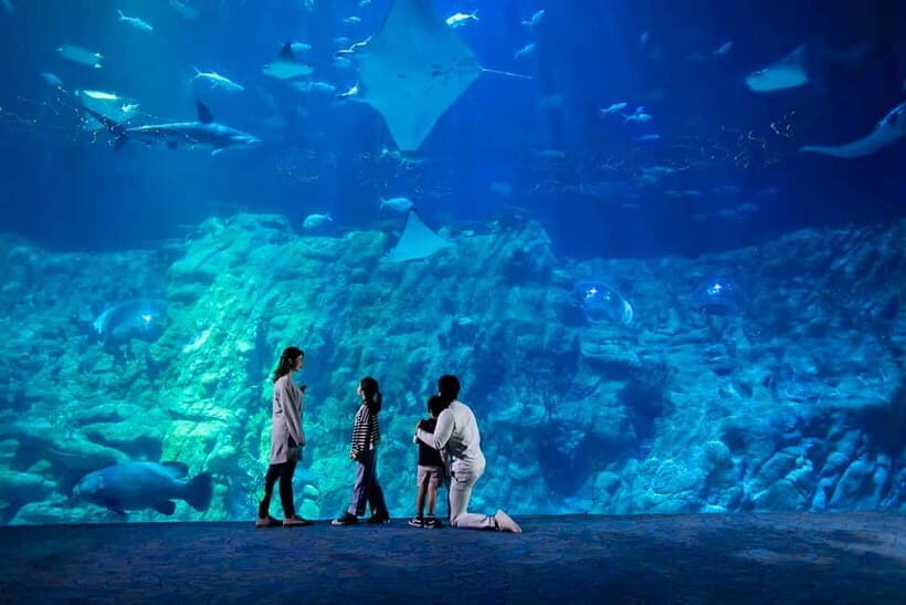 Hong Kong: Ocean Park Entry Ticket+Superior Indian Set Meal - Key Points