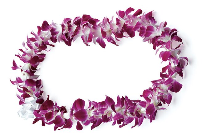 Honolulu Airport: Waikiki Private Transfer With Lei Greeting - Features and Benefits of the Service