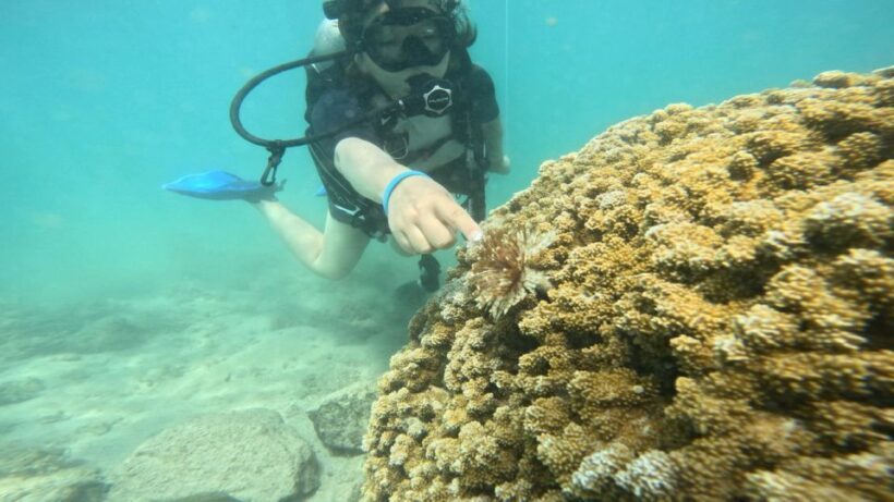 Honolulu: Beginner Scuba Diving Tour With Free Videos - Authentic Experiences and Real Feedback
